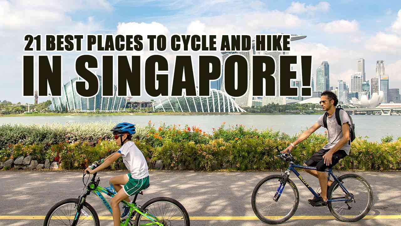 21 Best Places to Cycle and Hike in Singapore! - MysticKnots